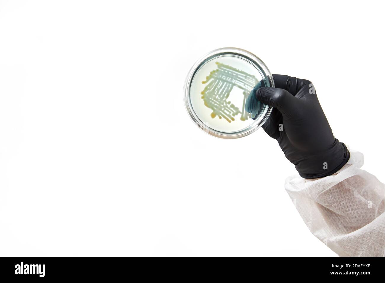 Safety sampler hi-res stock photography and images - Alamy