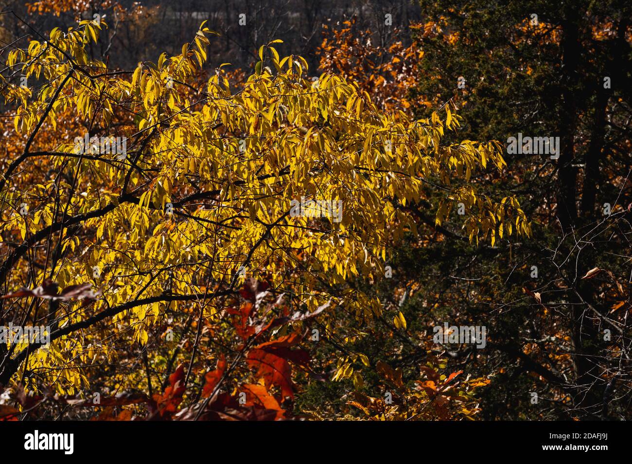 Hudson valley fall colors hi-res stock photography and images - Alamy