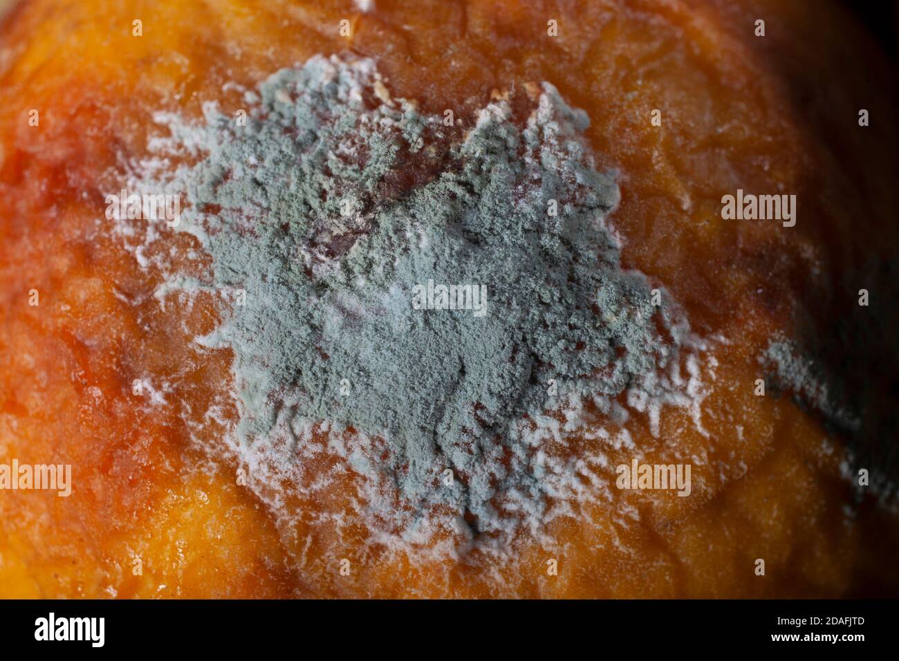 Rotten spot hi-res stock photography and images - Alamy