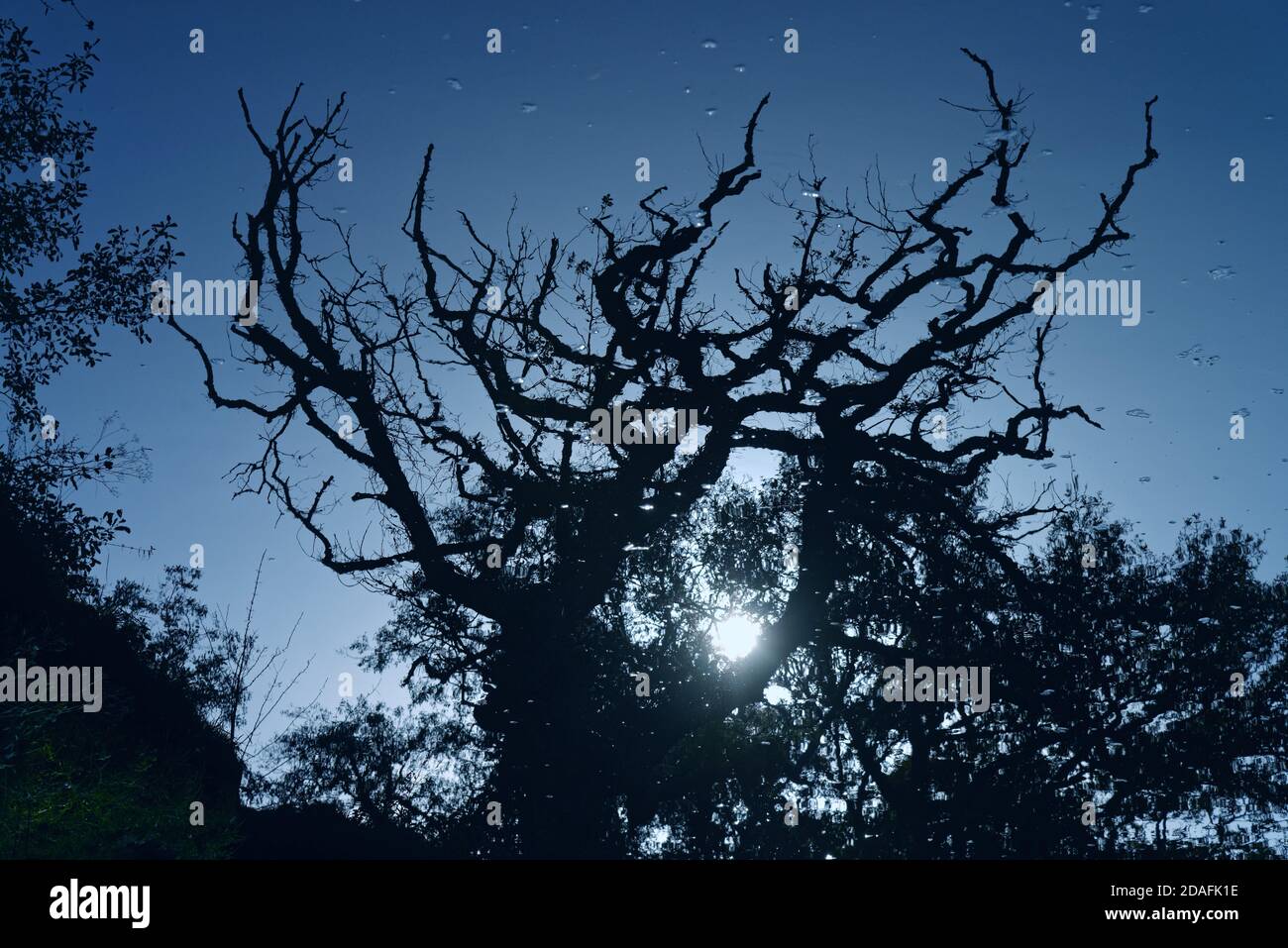 Angular shapes hi-res stock photography and images - Alamy