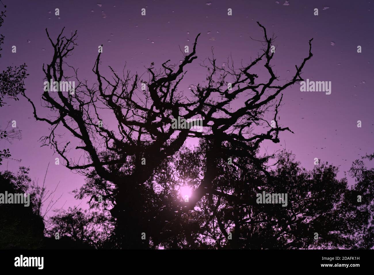 Abstraction with angular shapes hi-res stock photography and images - Alamy