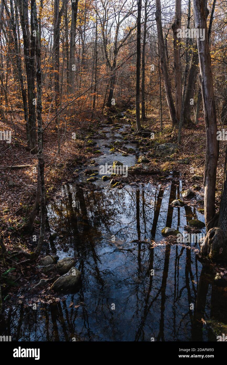 A stream lined by trees during a Fall hike in Cold Spring, NY Stock ...