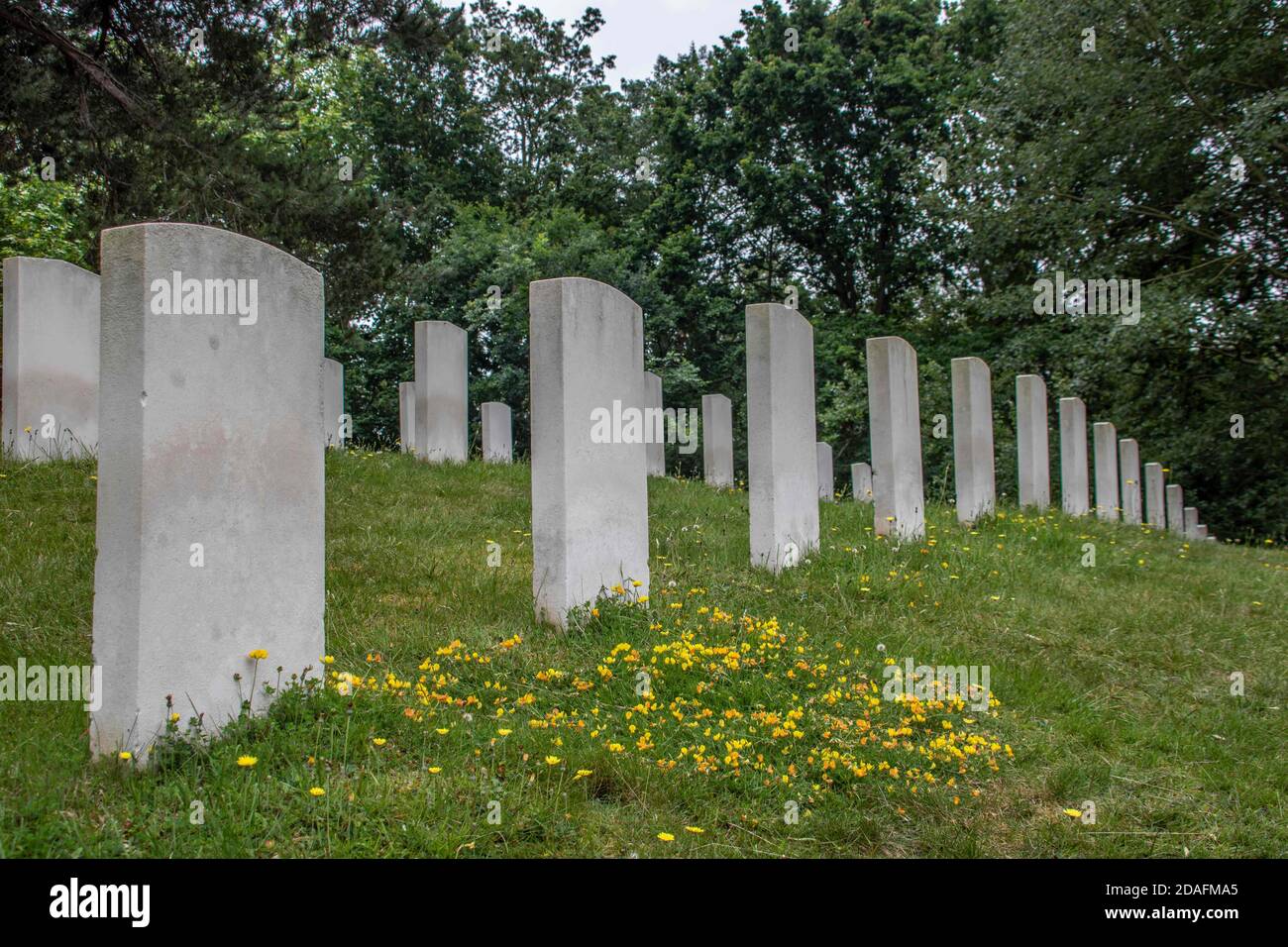 war graves in a military cemetery Stock Photo - Alamy