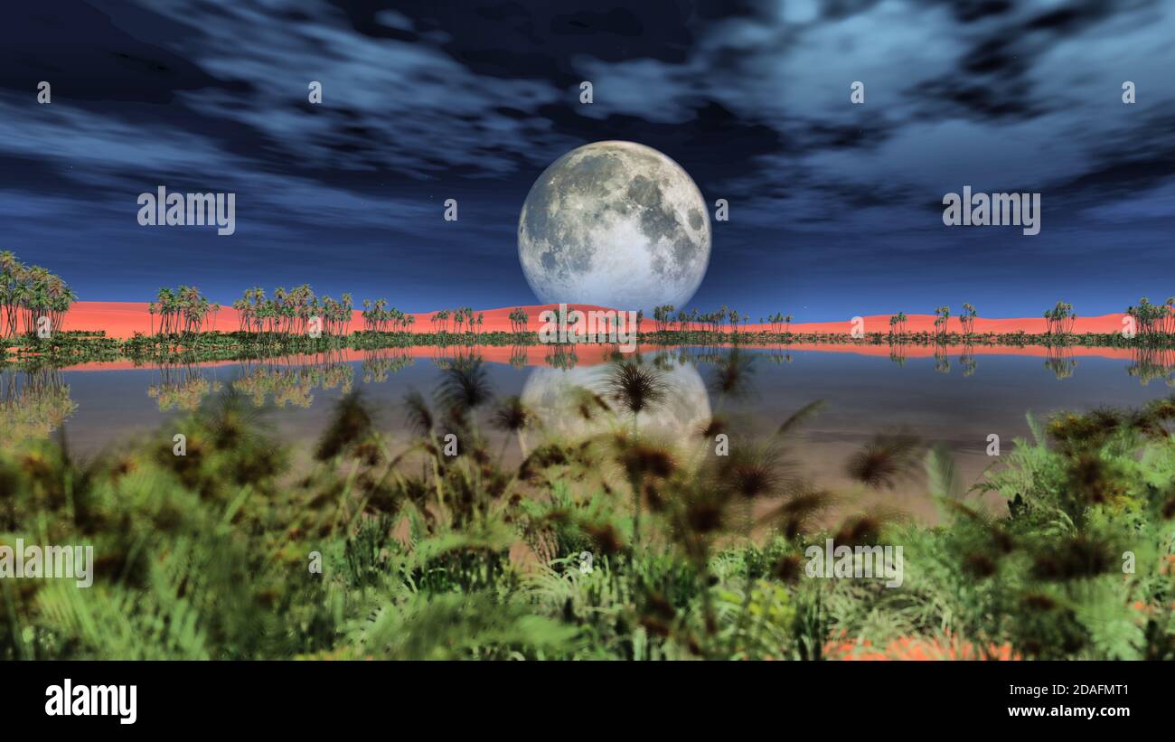 full moon over oasis, 3d render illustration Stock Photo - Alamy