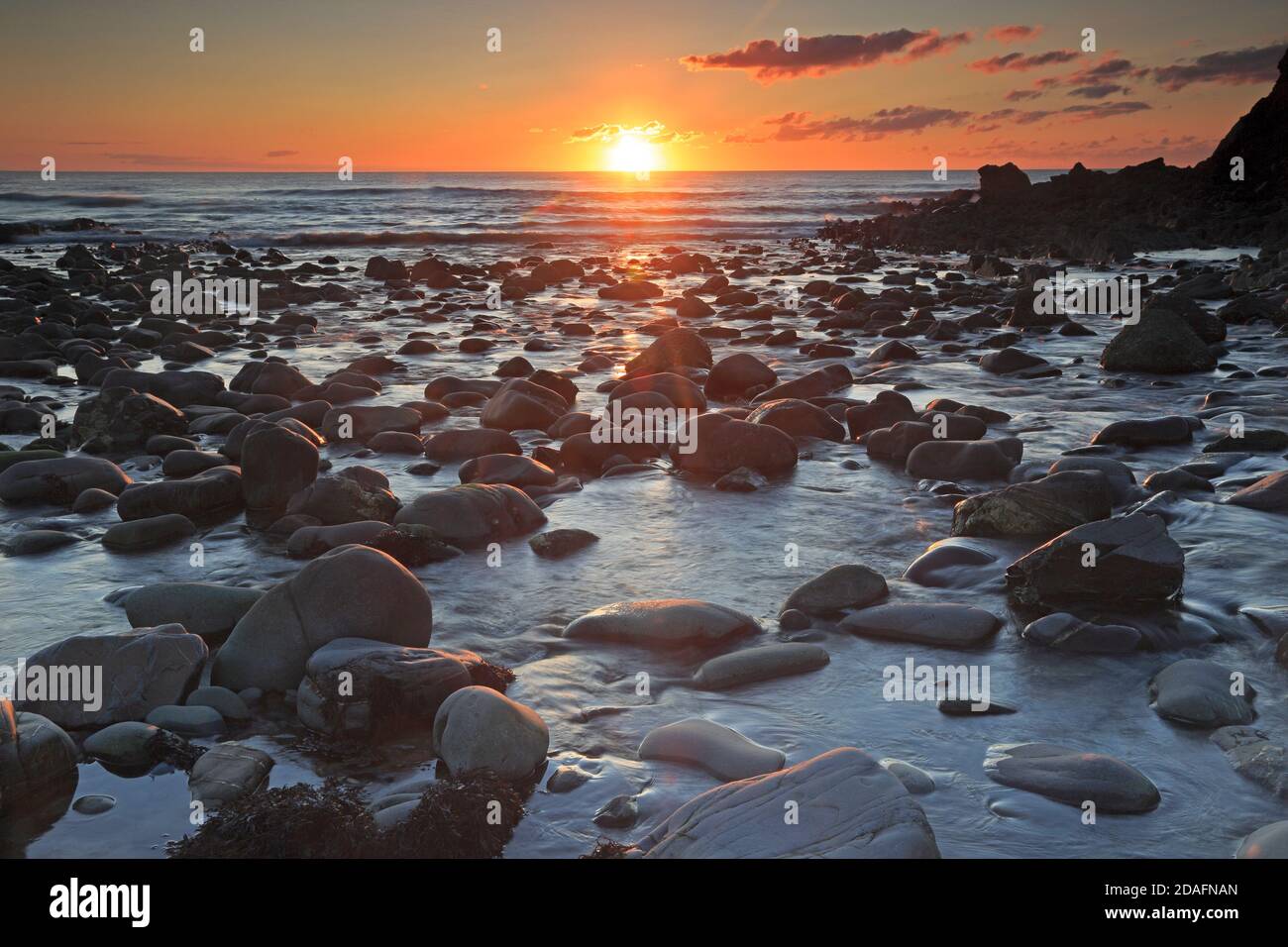 Duckpool hi-res stock photography and images - Alamy