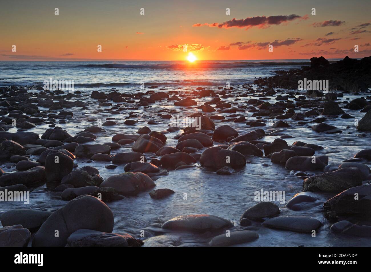 Duckpool hi-res stock photography and images - Alamy