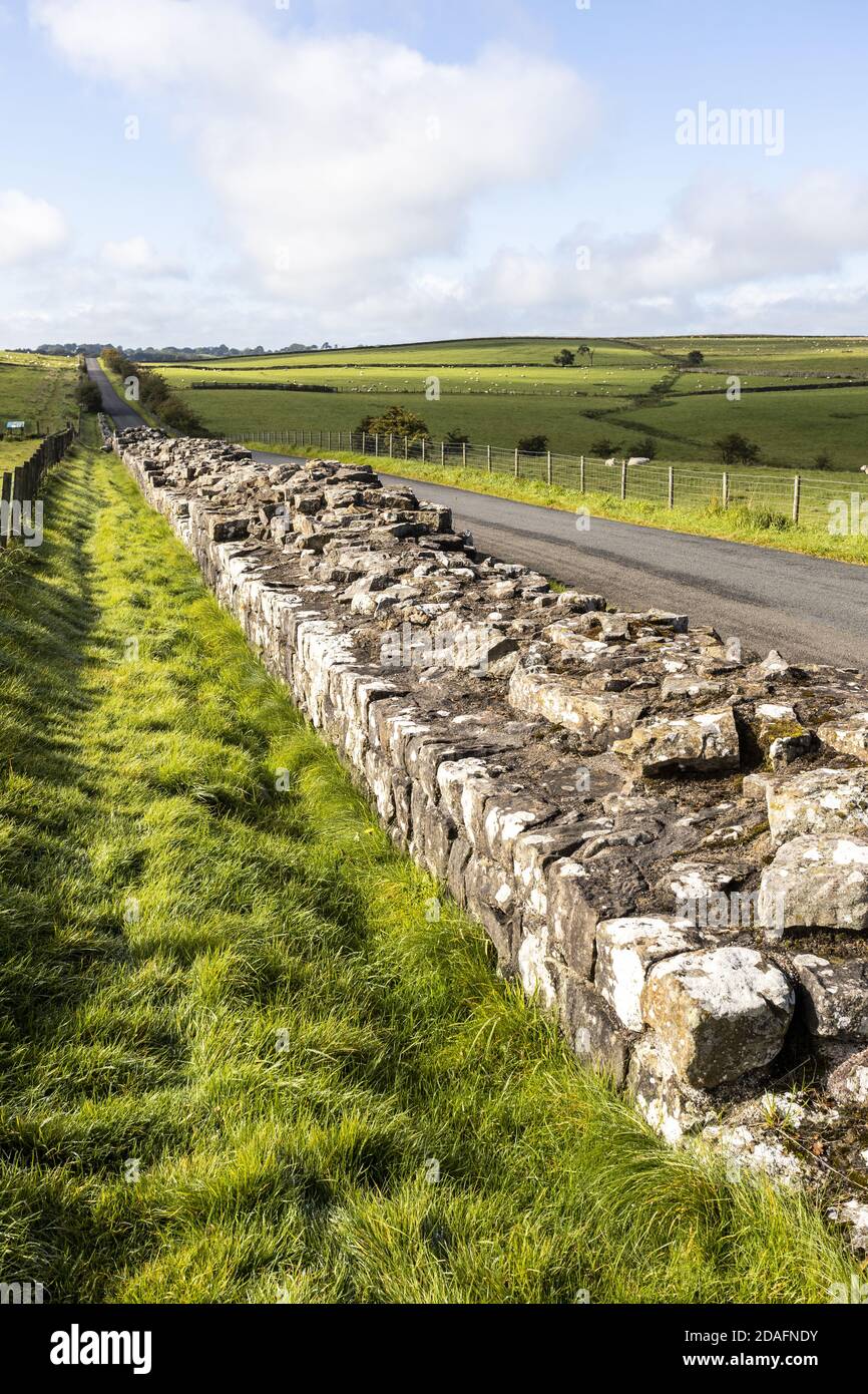 Hadrians Wall at Turret 49B near Gilsland, Cumbria UK Stock Photo - Alamy