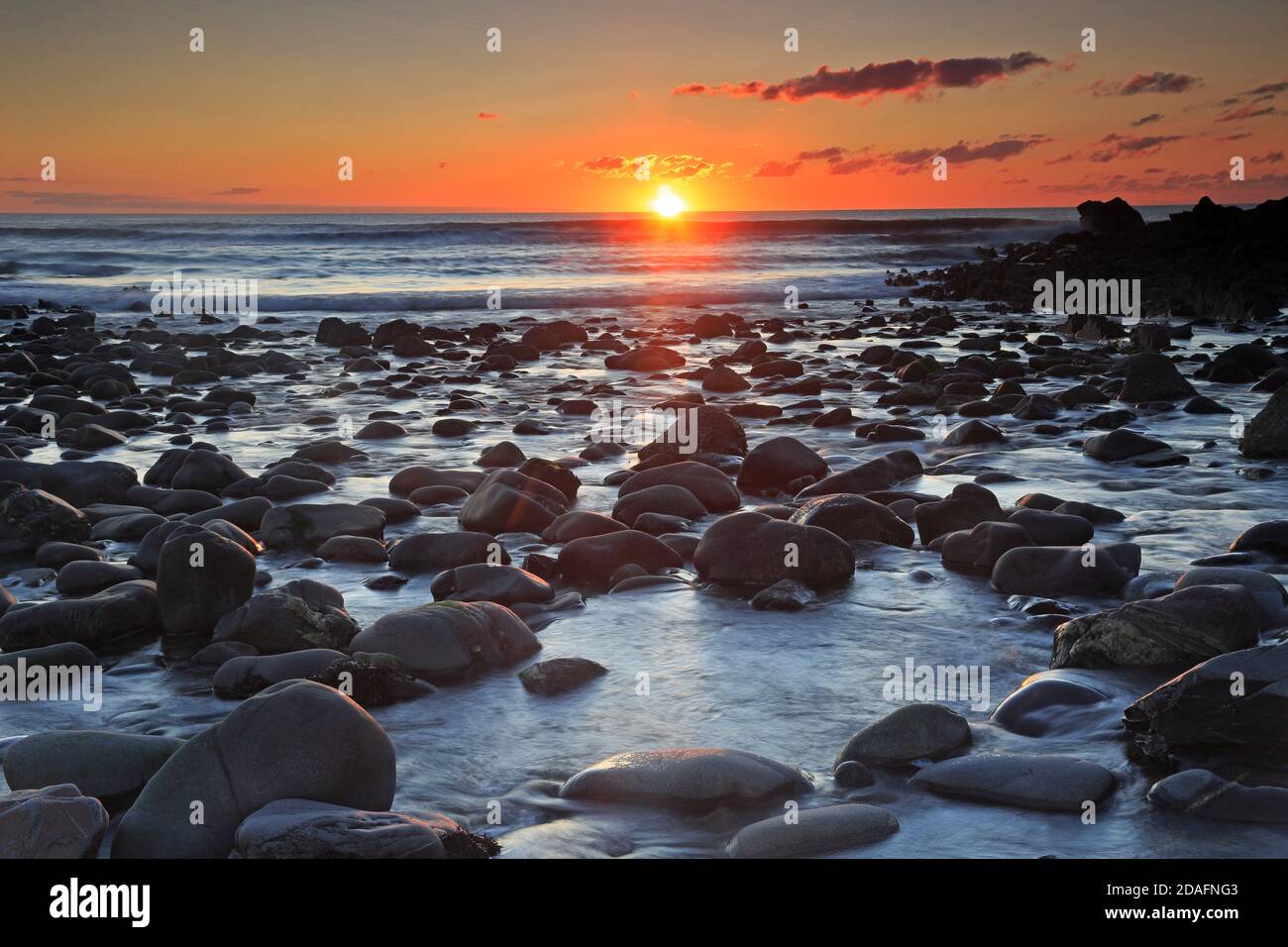 Duckpool hi-res stock photography and images - Alamy