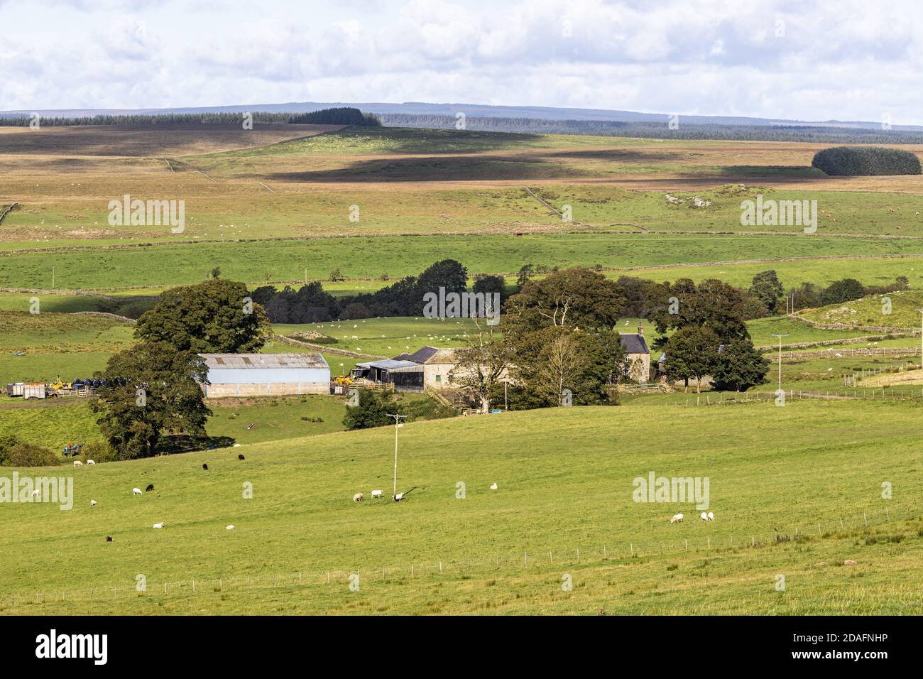 Scenic summer farms hi-res stock photography and images - Alamy