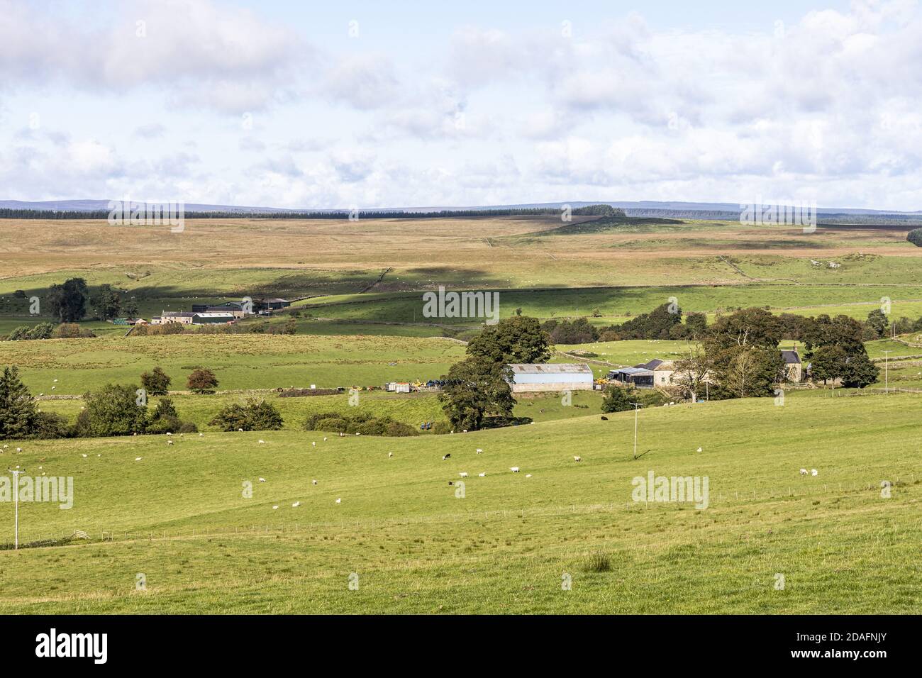 The remote upland farms of Cairny Croft and Low Old Shields on the ...