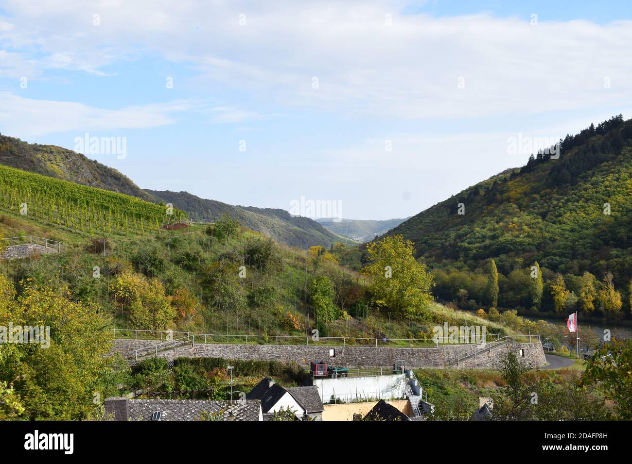 Mosel valley at Klotten Stock Photo - Alamy