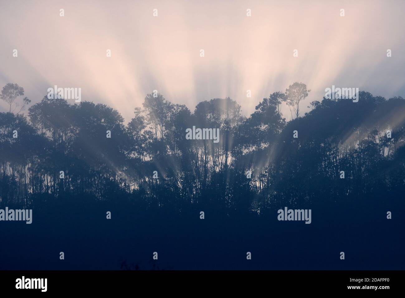 Sunlight through the mist hi-res stock photography and images - Alamy