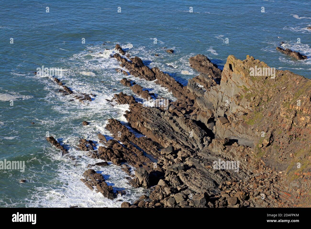 Lower sharpnose point hi-res stock photography and images - Alamy