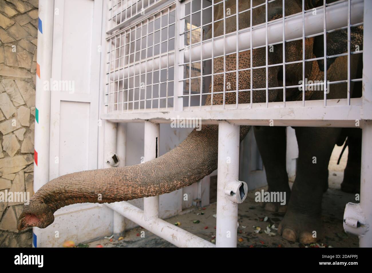 Marghazar zoo hi-res stock photography and images - Alamy