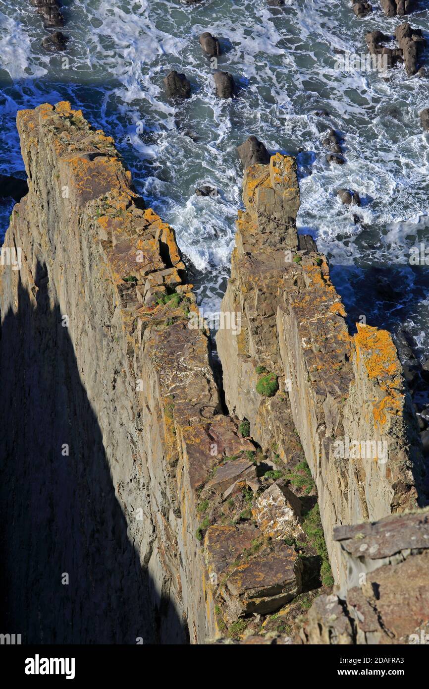 Lower sharpnose point hi-res stock photography and images - Alamy