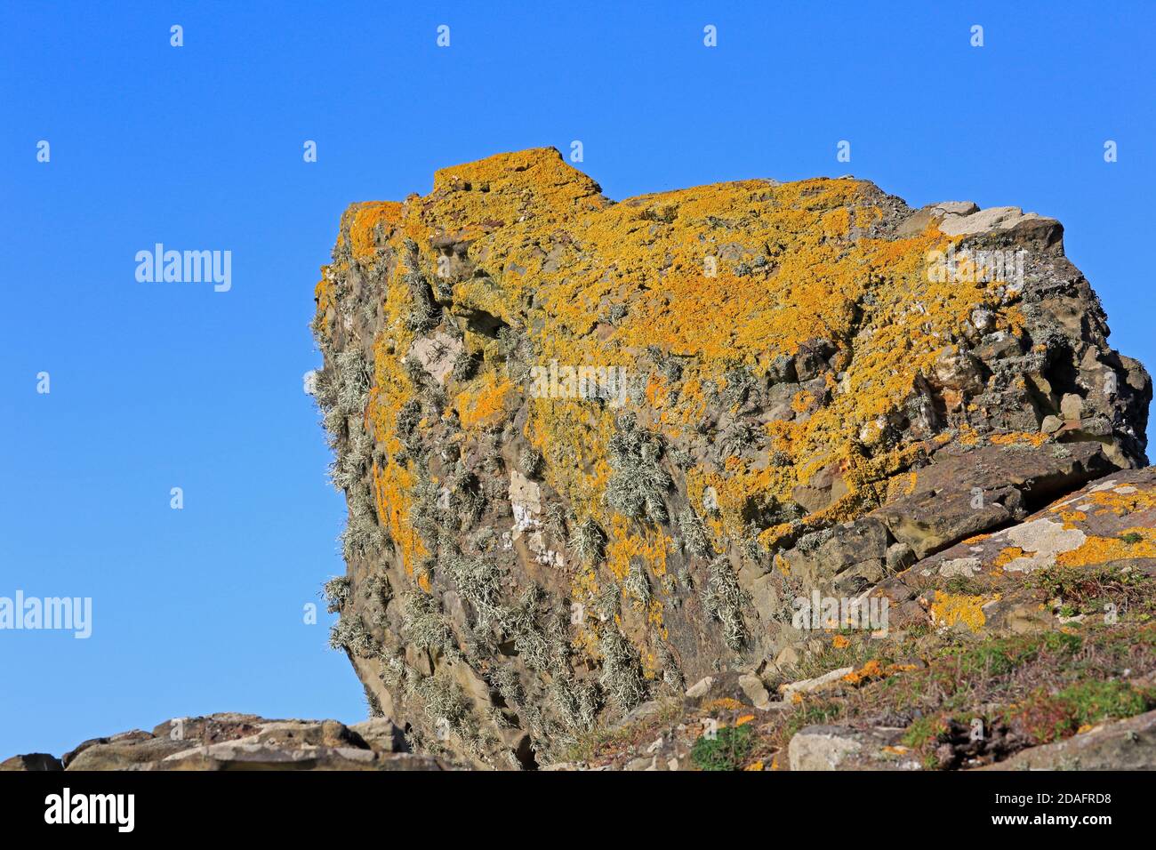 View of Sharpnose Point from the cliffs near Duckpool Cornwall Stock ...