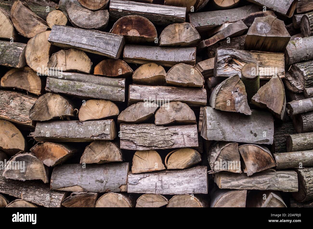 Sawn dried hi-res stock photography and images - Alamy