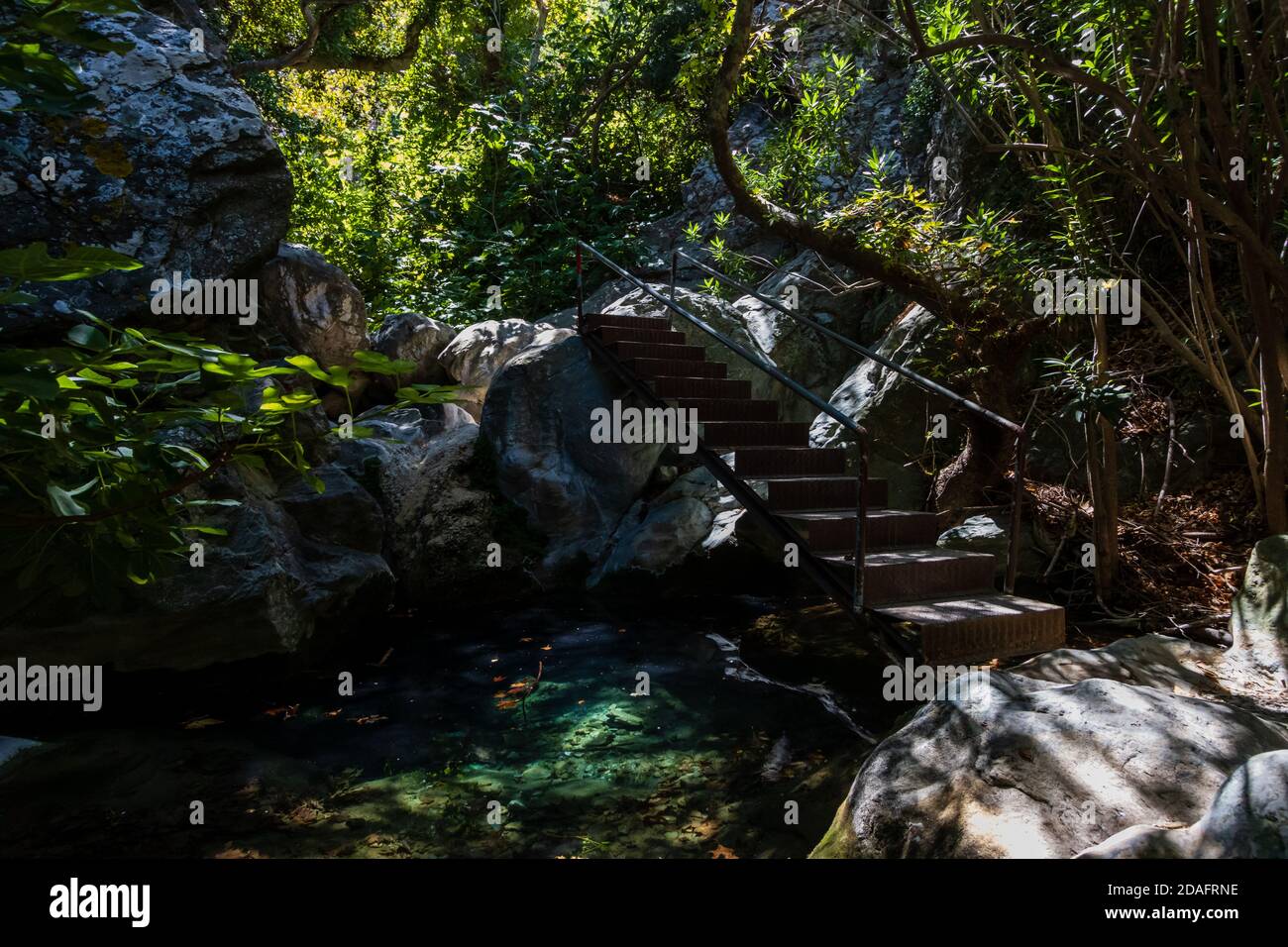 Forest and a small river at the bottom of a small canyon (Richtis Gorge ...