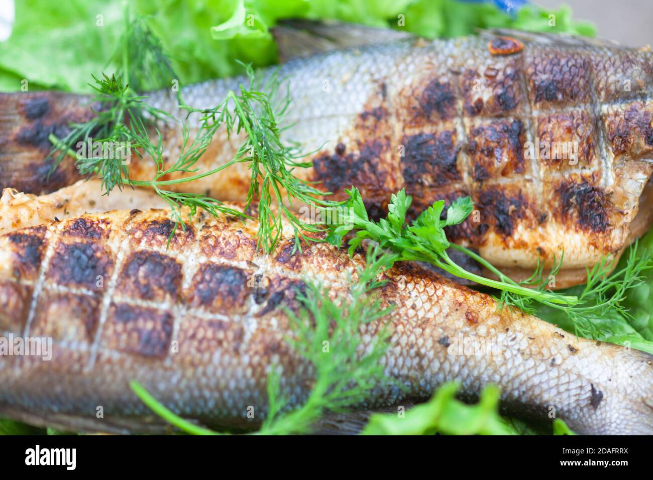 Fried sea bass fish on a grill with greens Stock Photo - Alamy