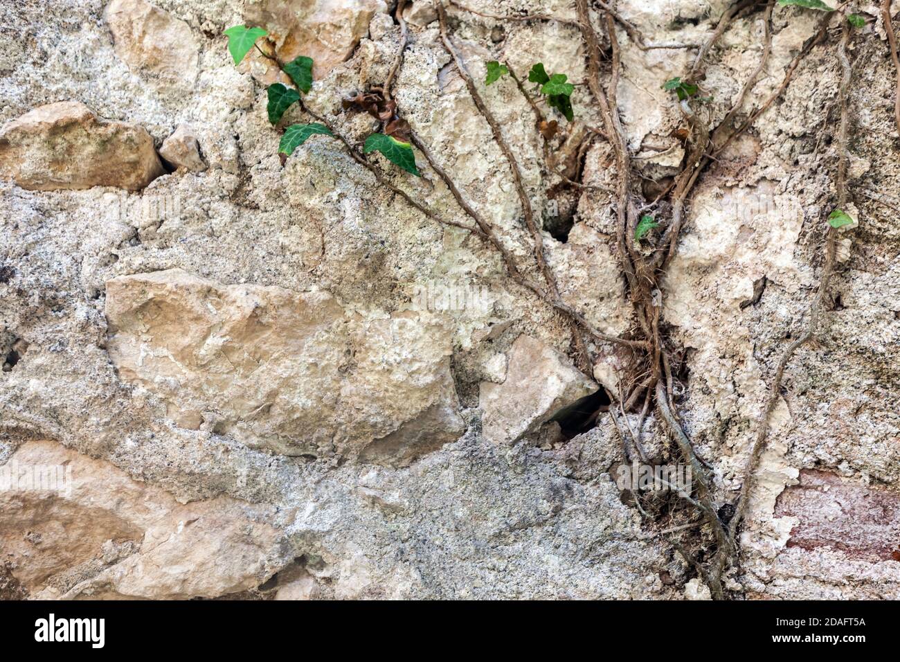 A wall of old light stone Stock Photo - Alamy