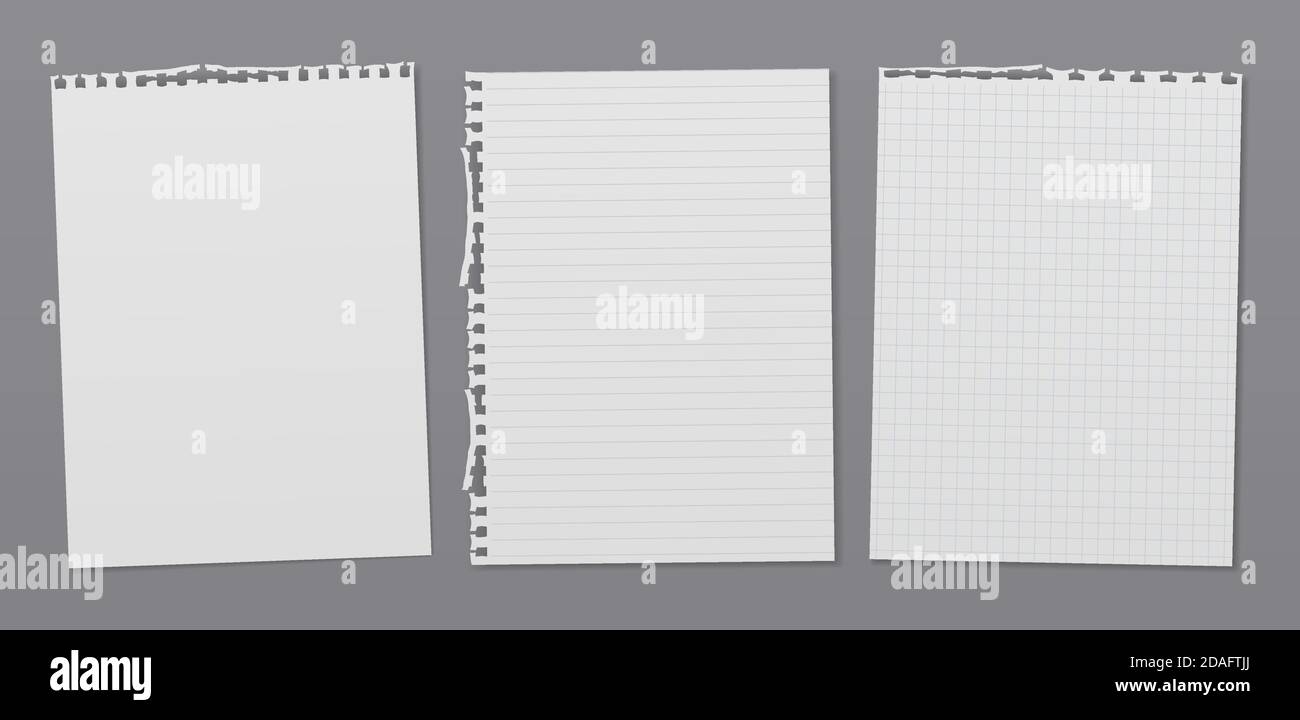 Torn of white lined, math note, notebook paper are on dark grey ...
