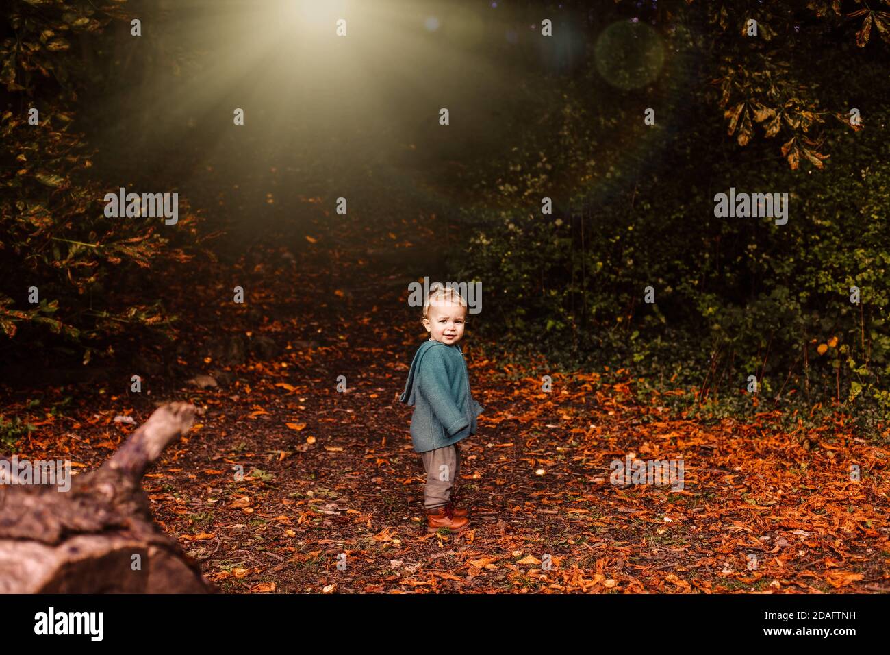 Boy exploring outdoors hi-res stock photography and images - Alamy