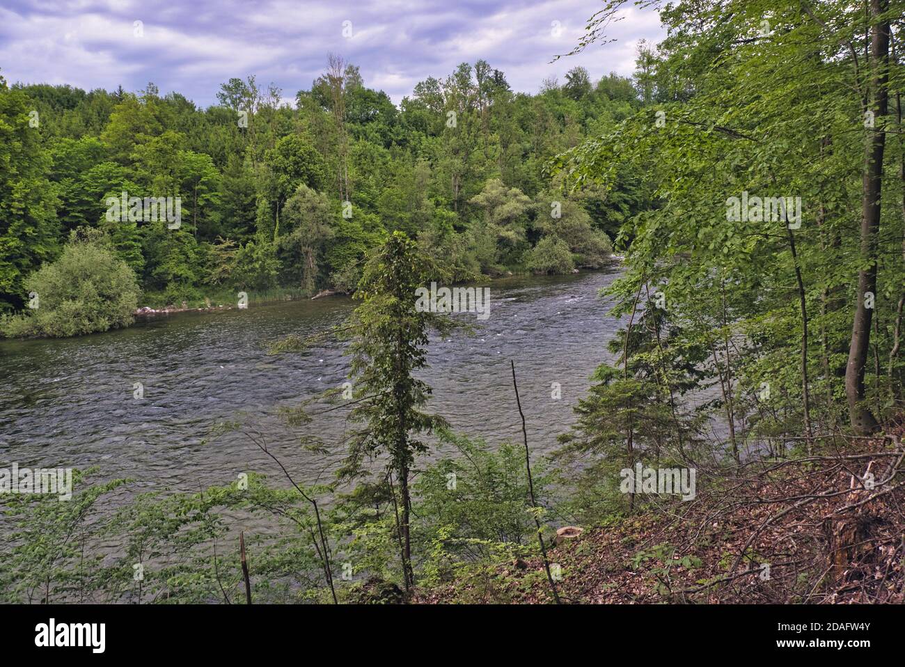River landscapes on the T River landscapes on the Traun river Stock ...
