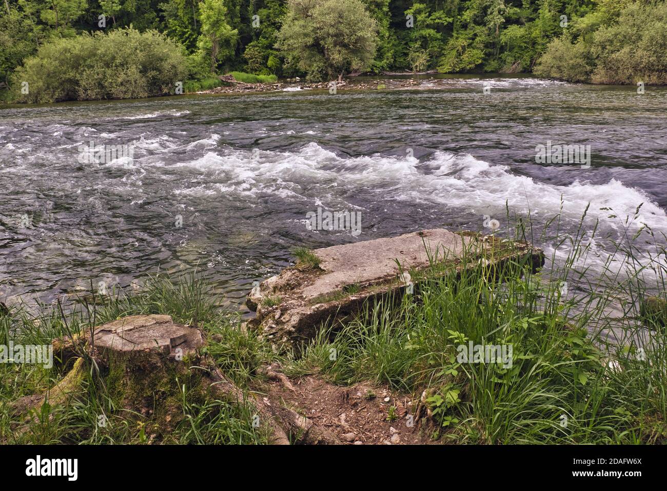 River landscapes on the T River landscapes on the Traun river Stock ...