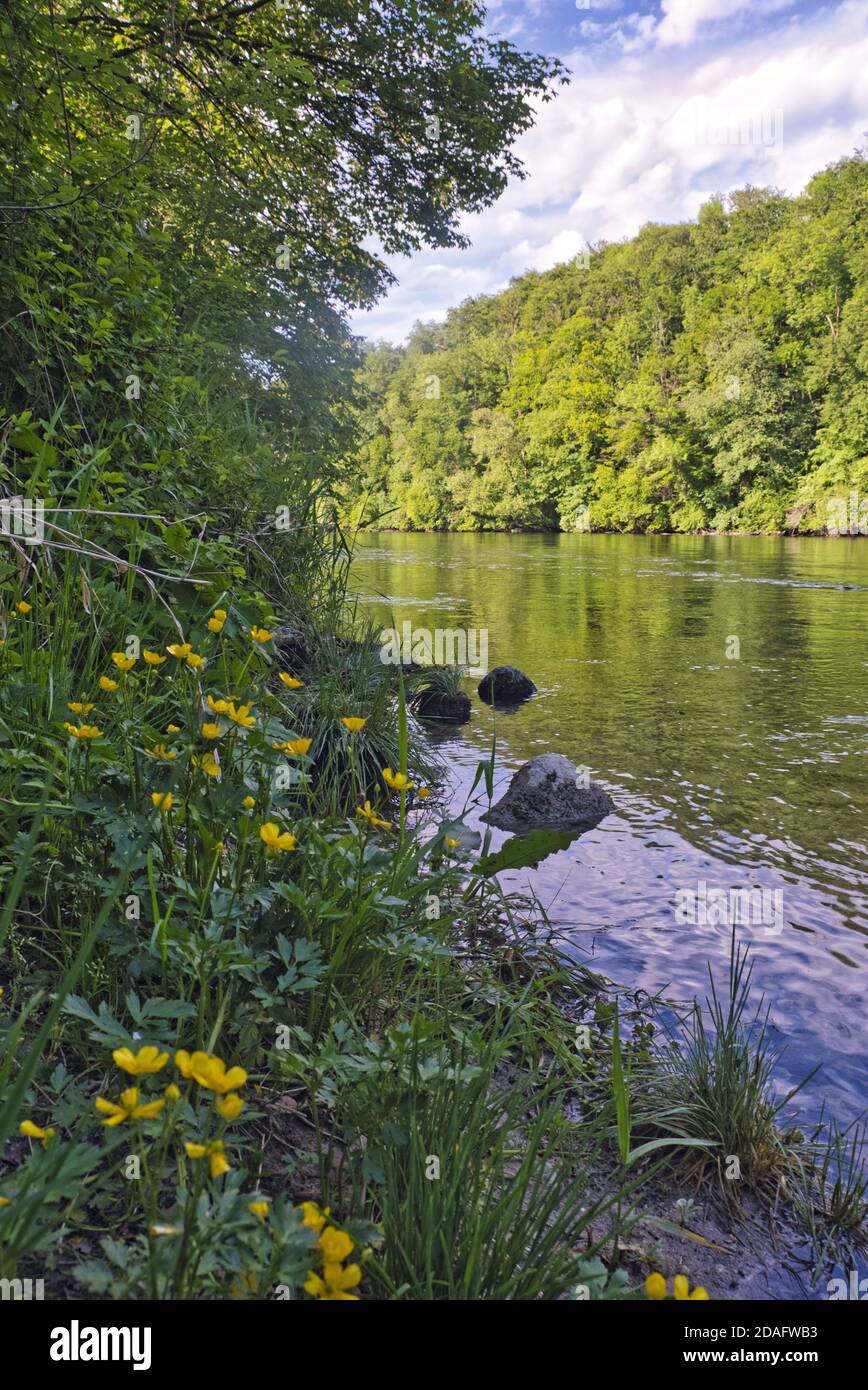 River landscapes on the T River landscapes on the Traun river Stock ...