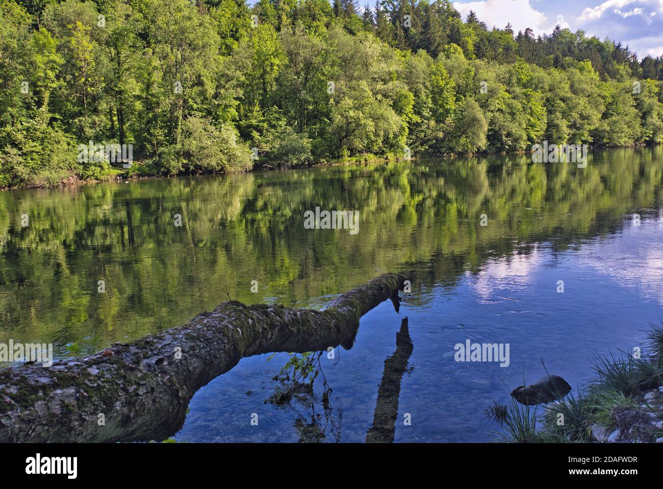 River landscapes on the T River landscapes on the Traun river Stock ...