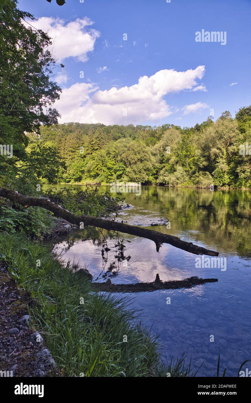 River landscapes on the T River landscapes on the Traun river Stock ...