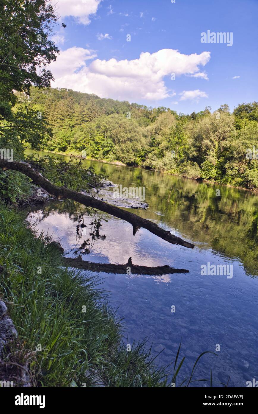 River landscapes on the T River landscapes on the Traun river Stock ...