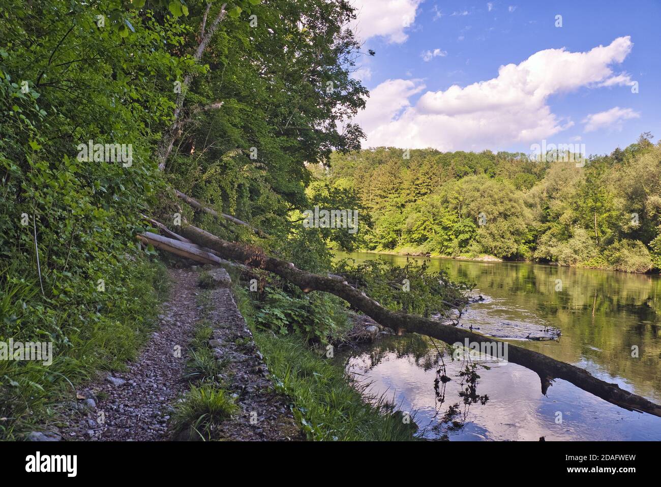 River landscapes on the T River landscapes on the Traun river Stock ...