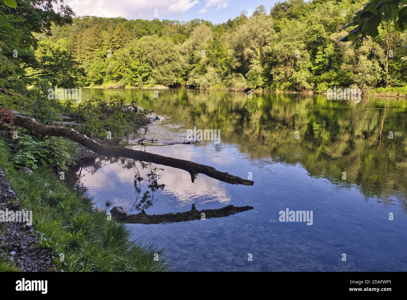 River landscapes on the T River landscapes on the Traun river Stock ...