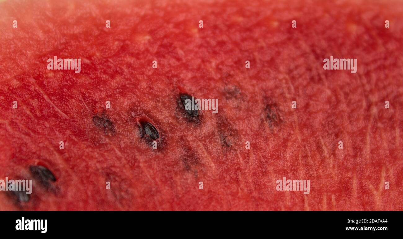 A slice of ripe watermelon rotates on a plate. Close up of watermelon ...
