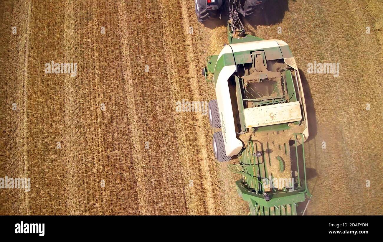 Harvesting flax hi-res stock photography and images - Alamy