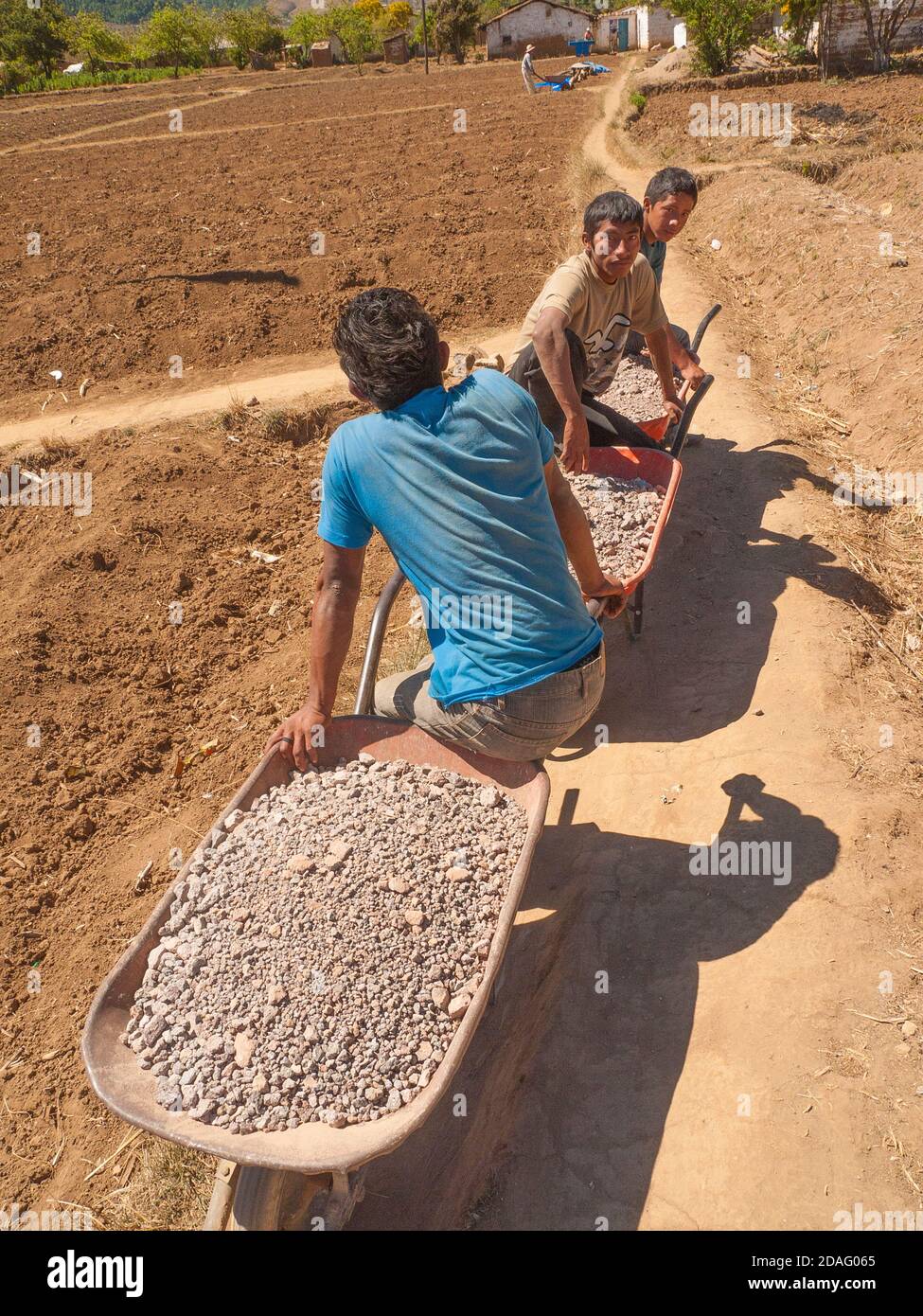 3 young male workers with wheelbarrows Stock Photo - Alamy