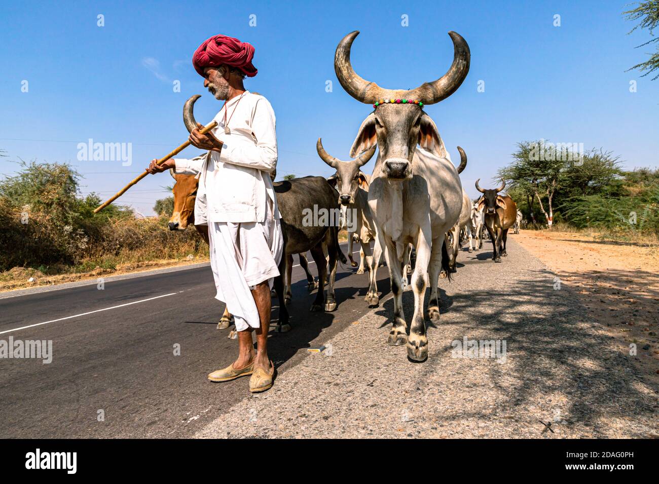 Traditional rajasthani patterns hi-res stock photography and images - Alamy