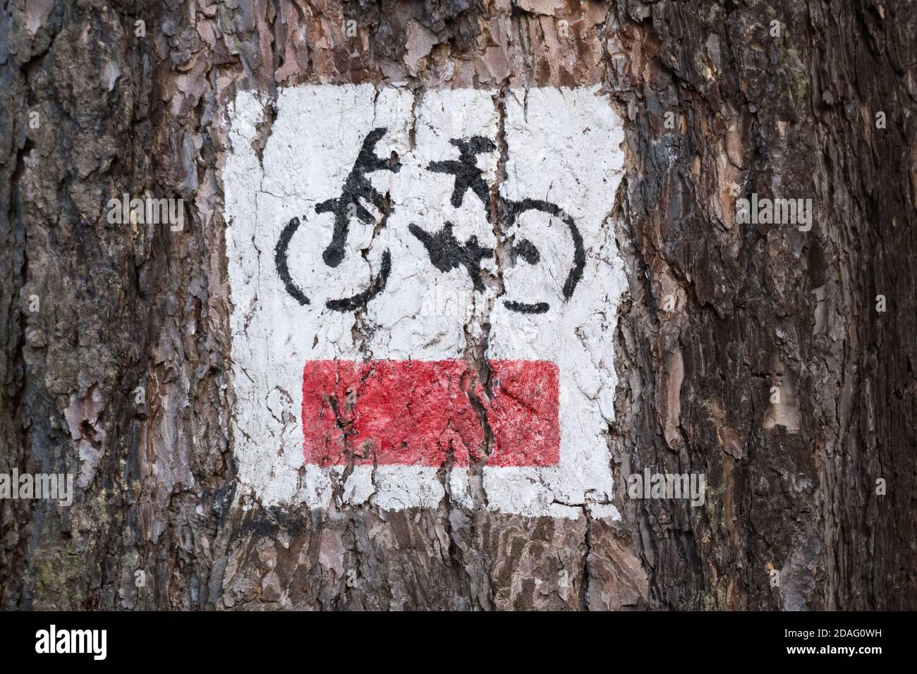 Sign on the tree for a red bike trail Stock Photo - Alamy