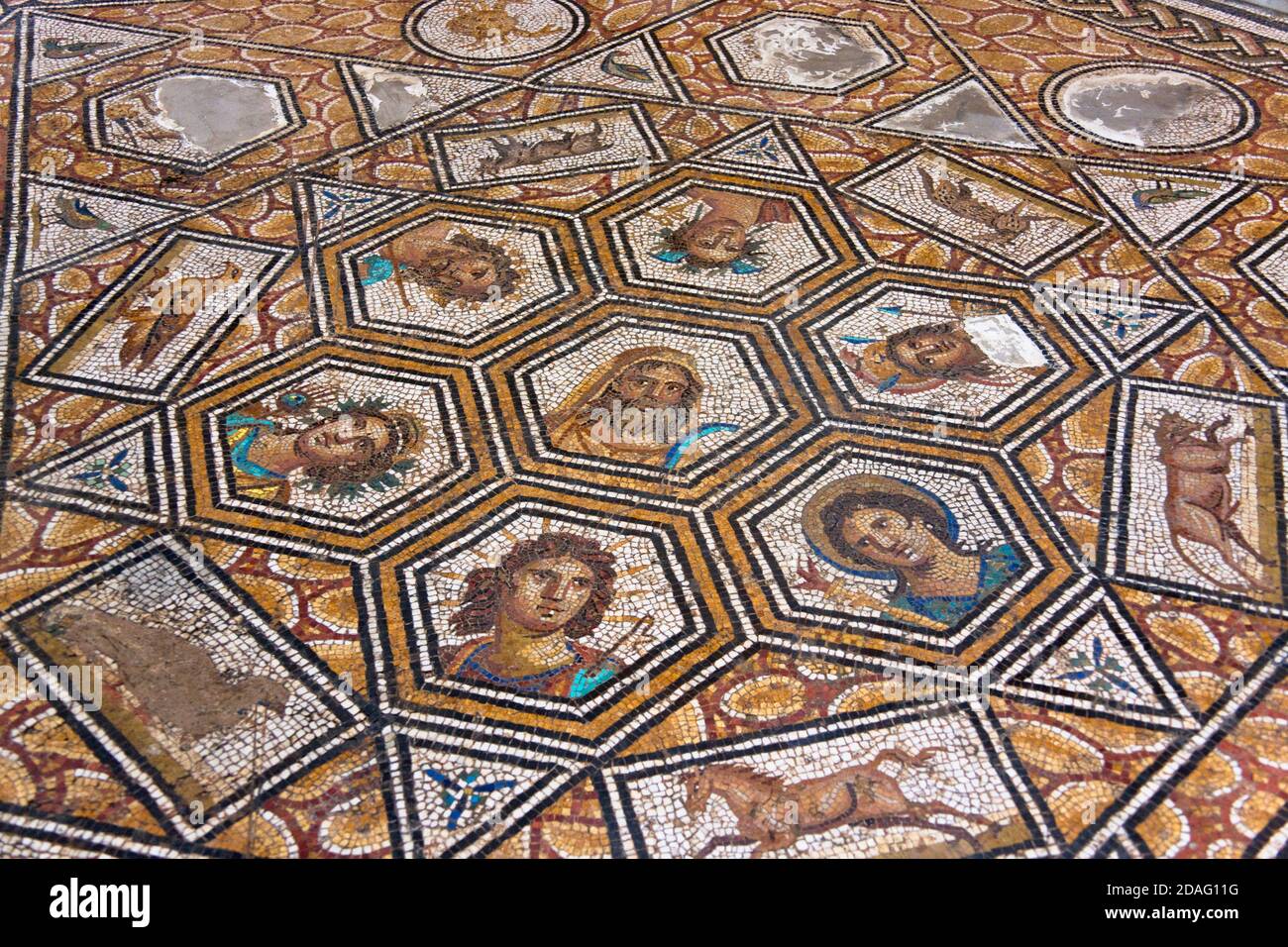 Mosaic floor at Bardo National Museum, Tunis, Tunisia Stock Photo - Alamy