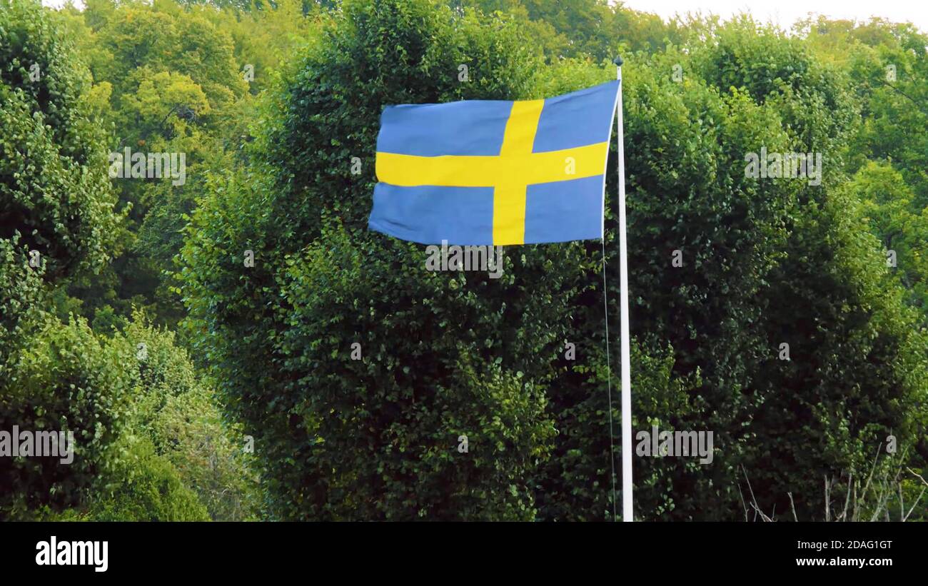 Swedish flag with trees background, Sweden Stock Photo - Alamy
