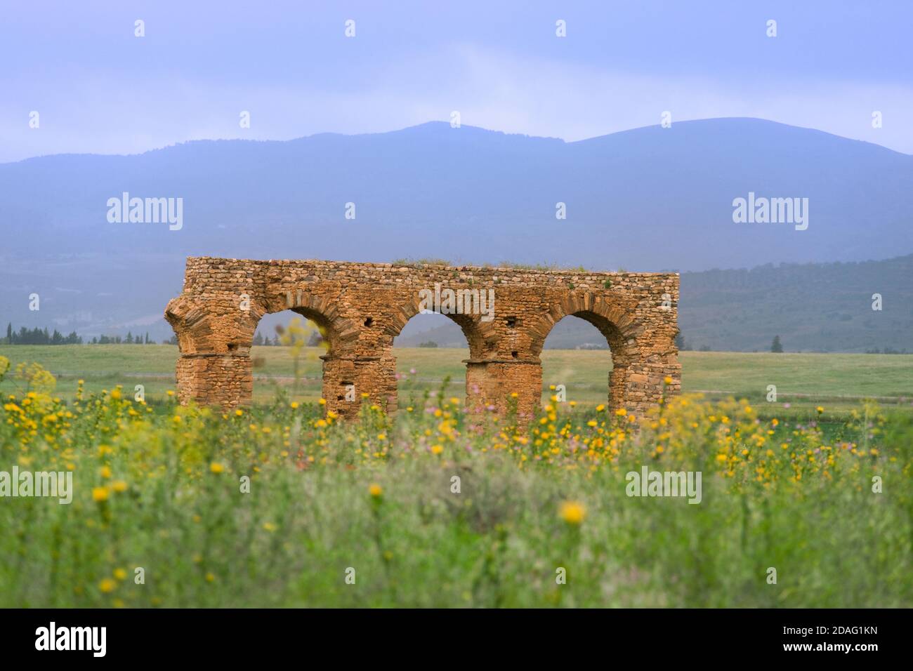 Chemtou hi-res stock photography and images - Alamy
