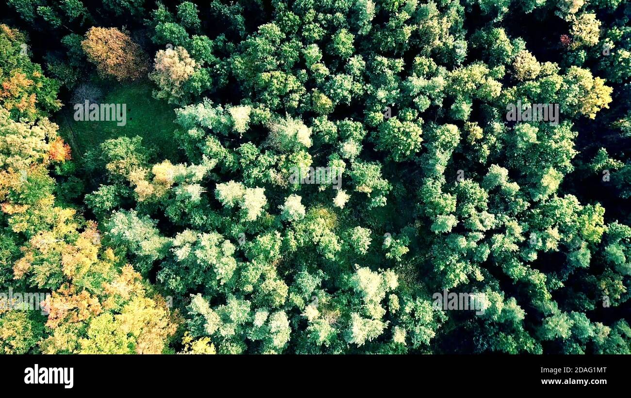 Aerial top view garden hi-res stock photography and images - Alamy