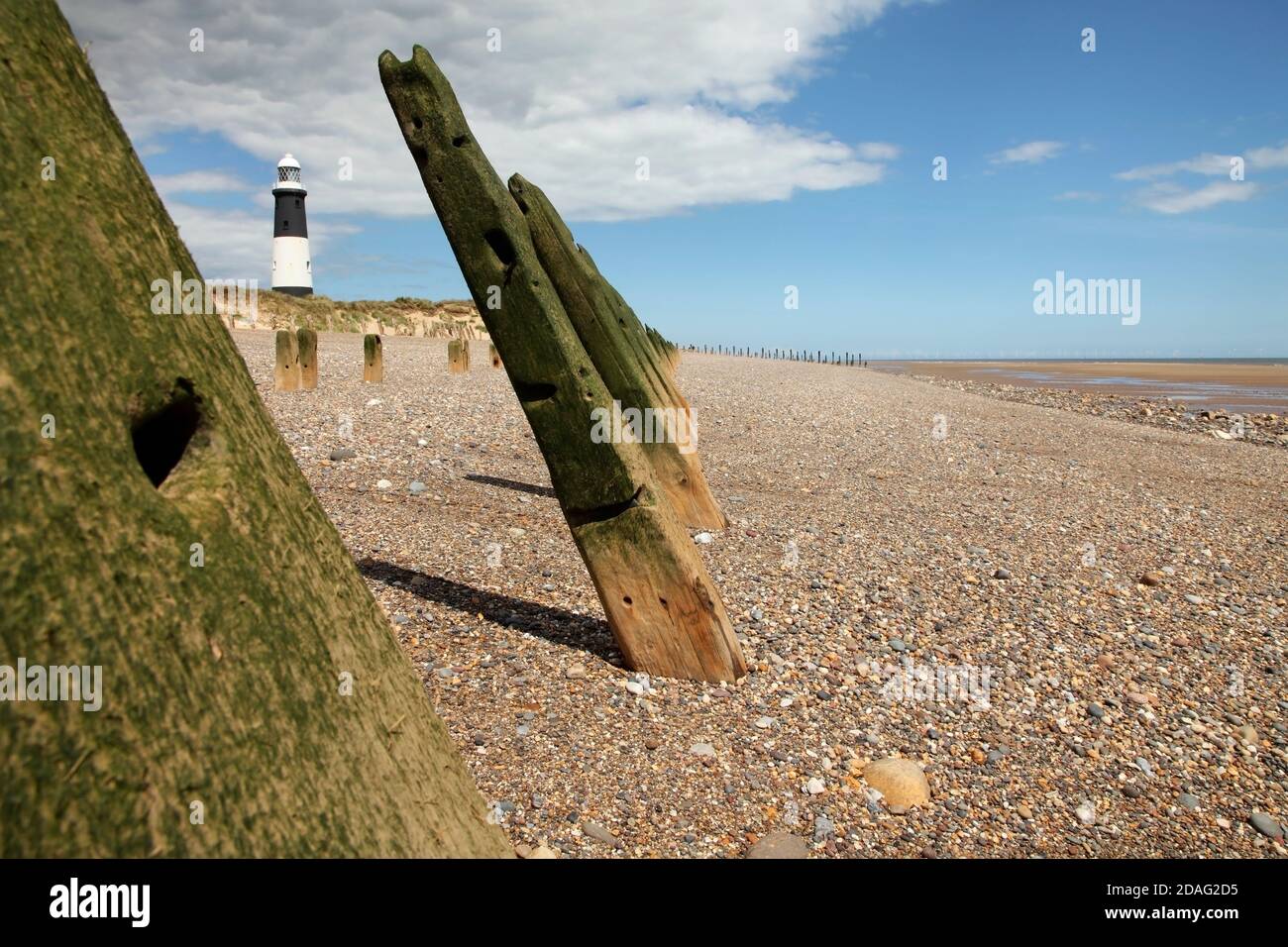 Wood pile sea defences hi-res stock photography and images - Alamy