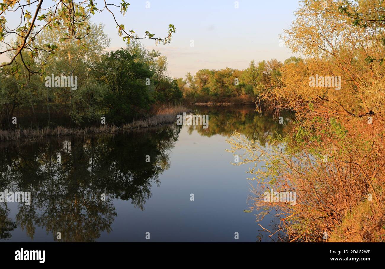 Quiet autumn landscape on small lake Stock Photo - Alamy