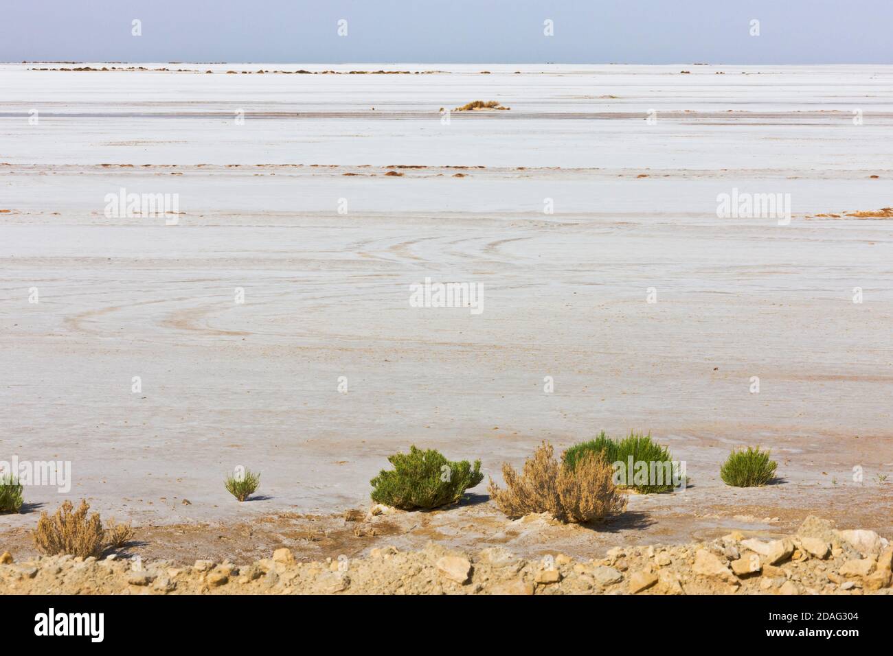 Chott el djerid hi-res stock photography and images - Alamy
