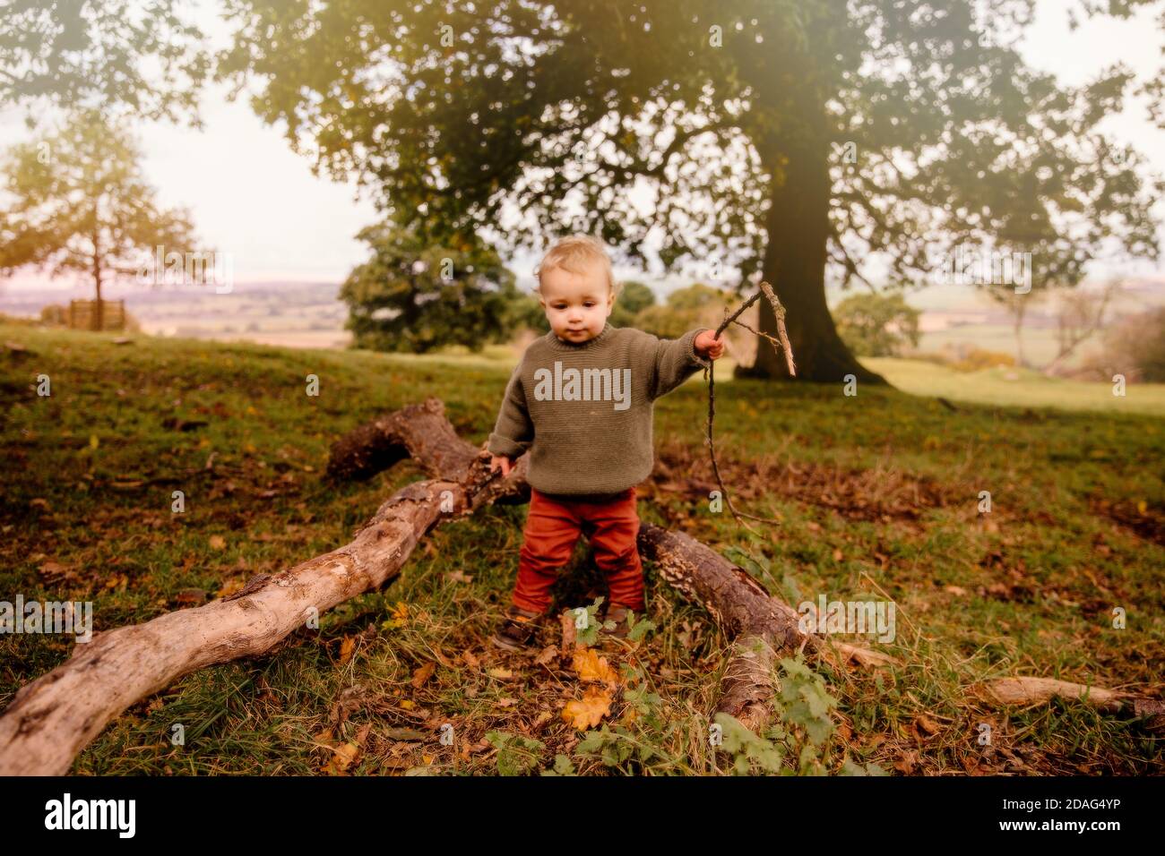 Toddler outdoors in autumn Stock Photo - Alamy