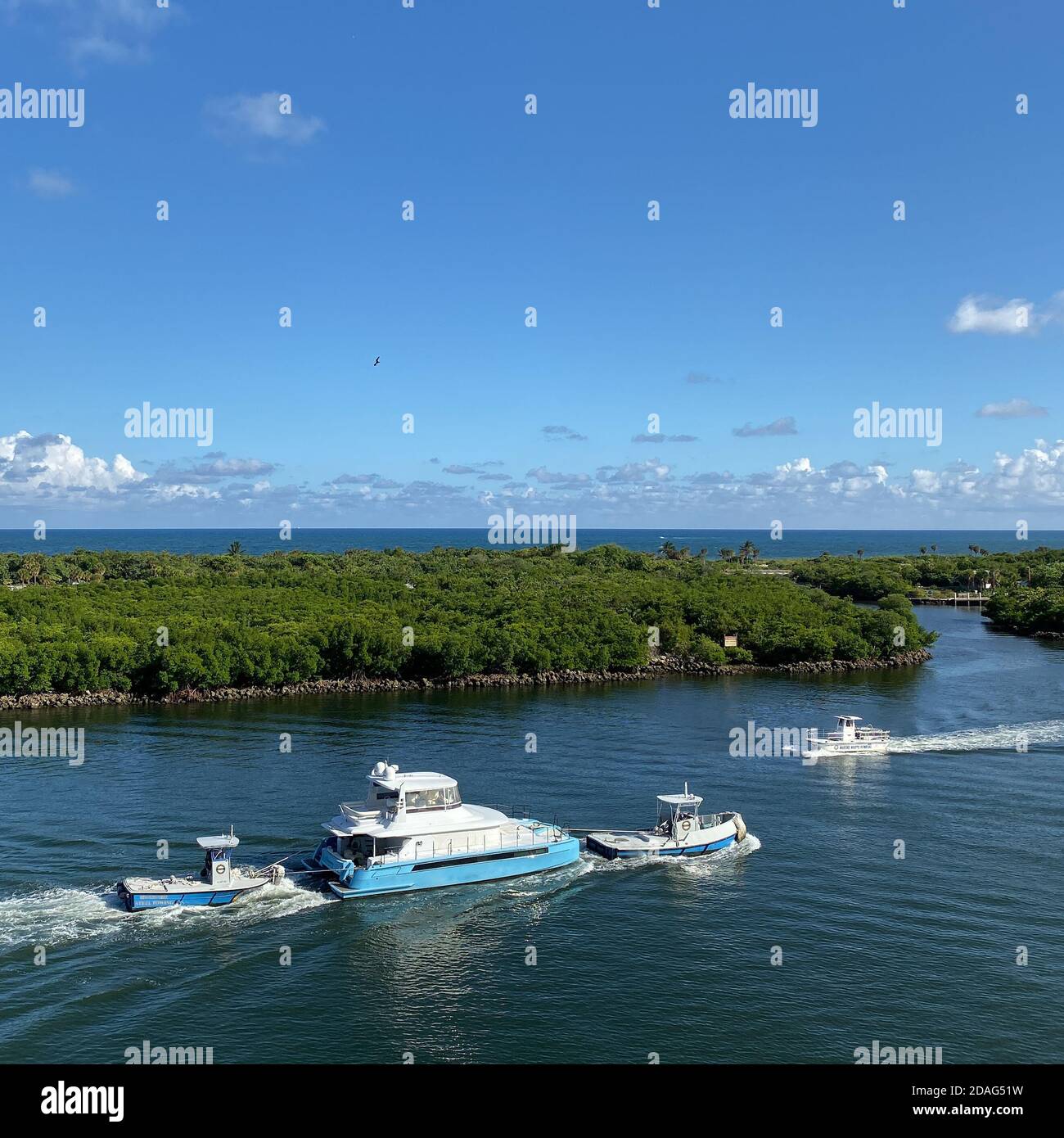 Everglades ocean hi-res stock photography and images - Alamy