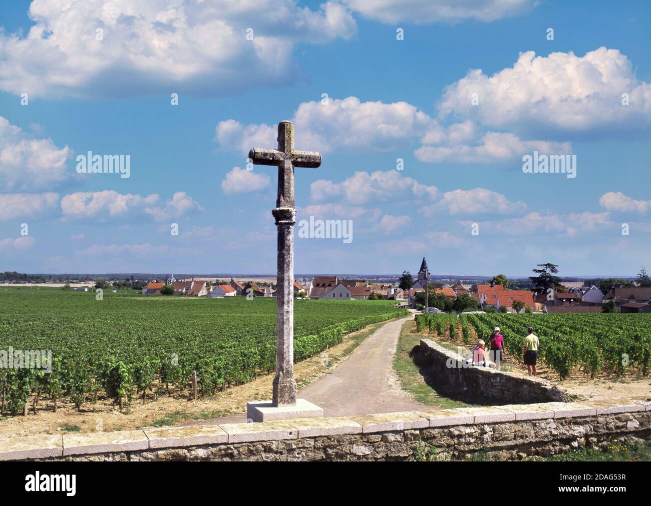 Romanée-Conti vineyard & landmark stone cross, with tourists having a ...