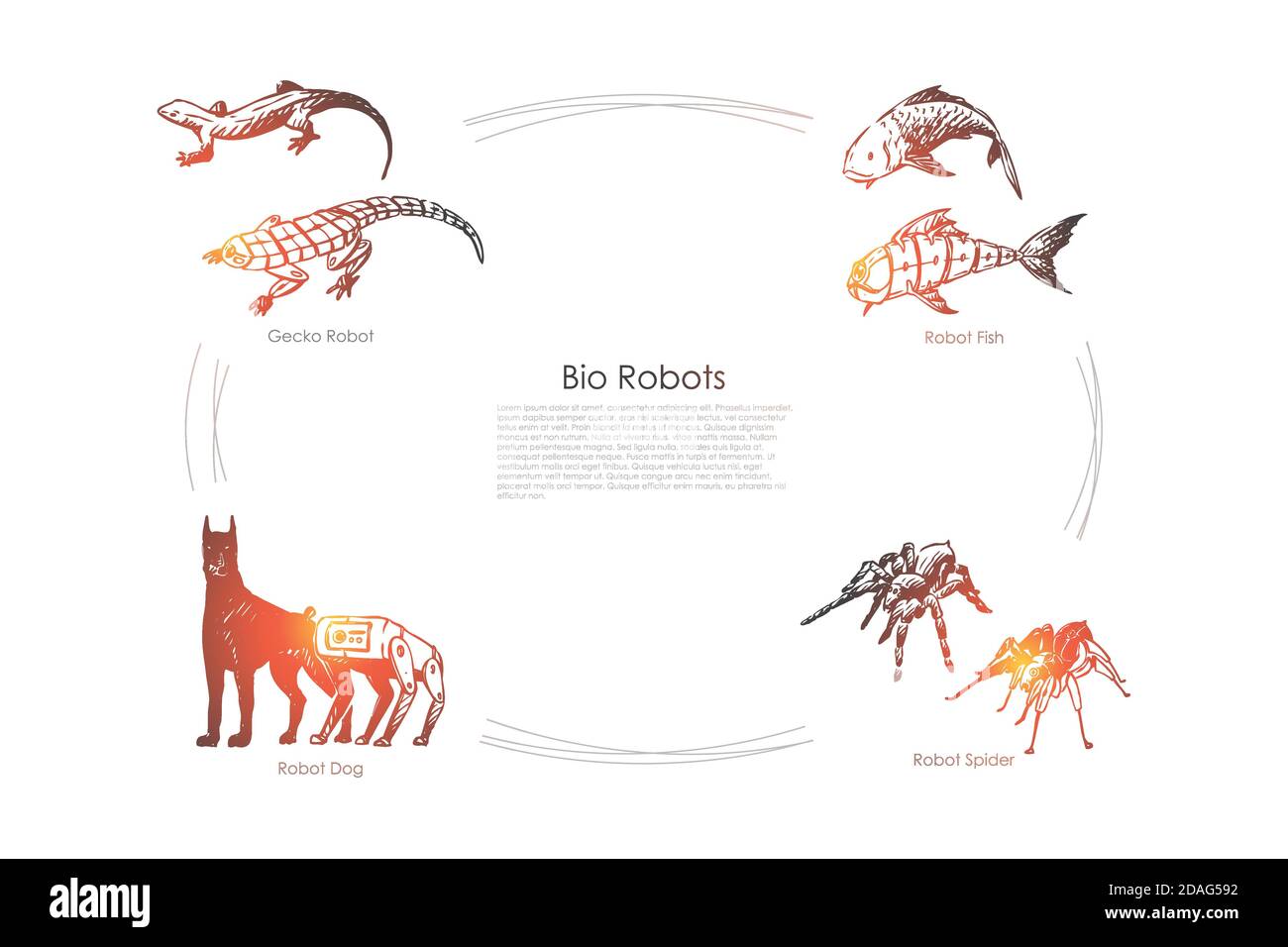 Bio robots - robot fish, dog, spider and gecko vector concept set Stock ...